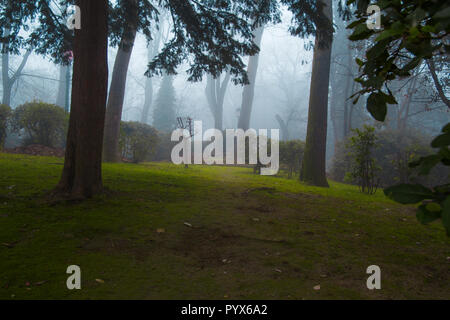 Surreal foggy park in Venice Italy, creepy Halloween theme landscape ...