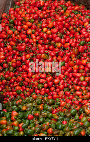Small red and green chilli peppers Stock Photo - Alamy