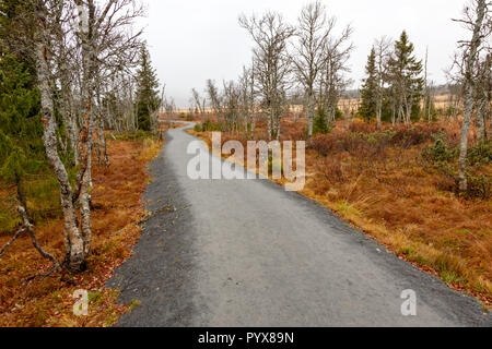 Nature in mountain area around Sjusjoen Stock Photo - Alamy