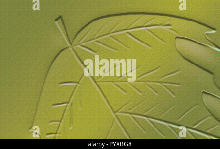 Autumn leaf embossed paper Design for your Next project Stock Photo - Alamy