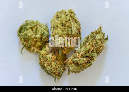 Cannabis, drug, blossoms, Droge, Blueten Stock Photo - Alamy
