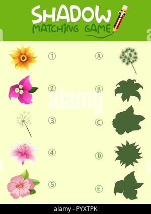 Flower shadow matching game template illustration Stock Vector Image ...