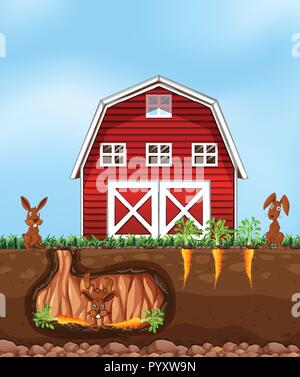 Rabbit House Underground the Farm illustration Stock Vector Image & Art ...