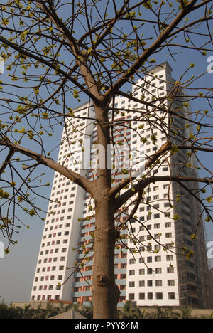 bhakti park building, wadala, Mumbai, Maharashtra, India, Asia Stock ...