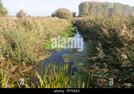 Drainage river channel Minsmere New Cut, wetland landscape at ...