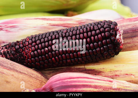 Purple corn is a group of Zea mays varieties that have a purple fruit ...
