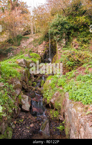 forest petit bot guernsey channel islands uk Stock Photo - Alamy
