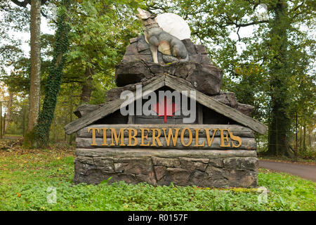 A timber wolf at Longleat Safari Park Stock Photo - Alamy