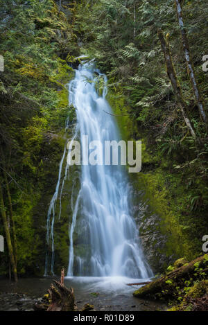 Madison Creek Falls, Olympic National Park, Washington Stock Photo - Alamy