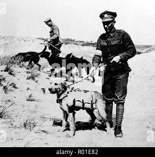 First aid dogs, World War I, c1914-c1918. Artist: Realistic Travels ...