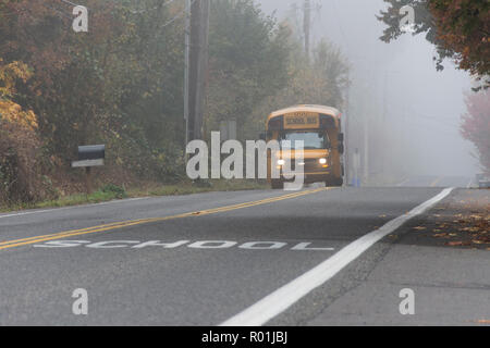 City transit bus on rural road during winter blizzard-Victoria, British ...
