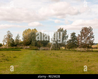 Dedham summer day special grassland greenery scene landscape nature ...