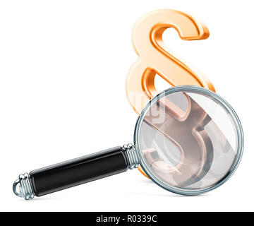 Section symbol with magnifying glass, 3D rendering isolated on white ...