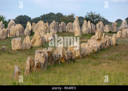 France, Morbihan, Carnac, row of megalithic standing stones at Kermario ...