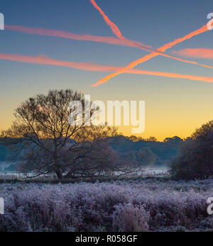 Fordingbridge, Hampshire, UK, 2nd November 2023: Weather. Storm Ciarán ...