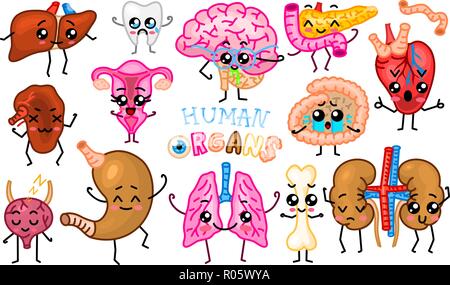 Healthy biological organ. Smiling lung, happy heart and funny brain ...