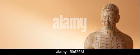 Acupuncture Model isolated on beige background Stock Photo - Alamy