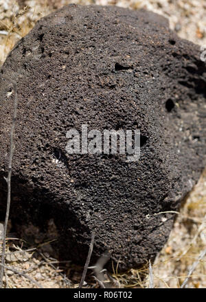 Igneous volcanic rock (lava rock) - California USA Stock Photo - Alamy