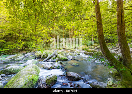 Beautiful natural scenery of river in southeast Asia tropical green ...