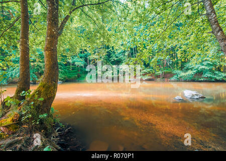 Beautiful river and forest landscape in the Alps, Austria Stock Photo ...