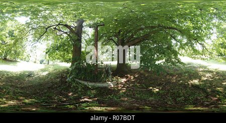 360° view of Under a linden tree - Alamy