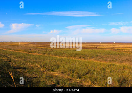 RAF firing range at Donna Nook on the Lincolnshire Coast UK Stock Photo ...