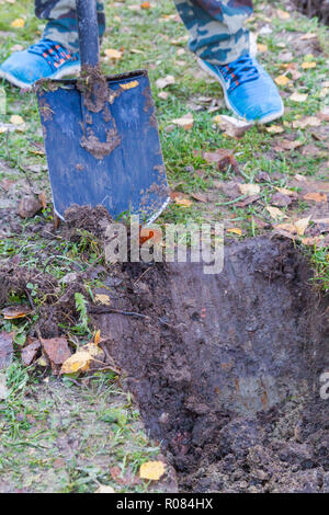 digging stones in black sand on the beach Stock Photo - Alamy