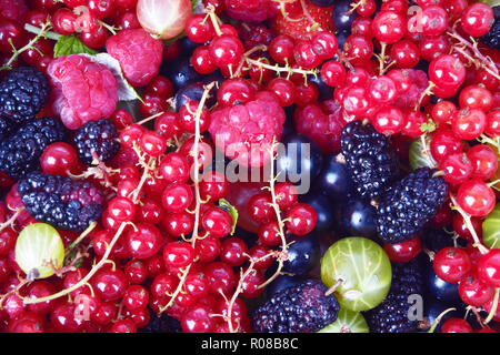 Mix of Berries Background Stock Photo - Alamy