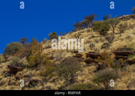 Avis dam, Windhoek, Namibia Stock Photo - Alamy