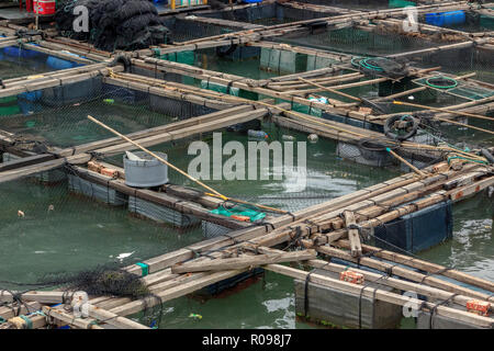 floating fish farm in ha long bay vietnam. production of fish and ...