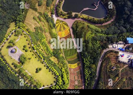 Chongqing, China. 3rd Nov, 2018. Chongqing, CHINA-Scenery of rural area ...