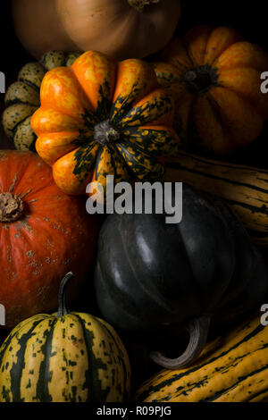 Yellow and green striped delicata squash in bulk at the farmers market ...