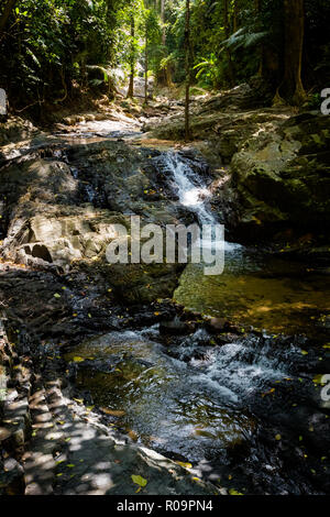 River in the jungle, Khao Phanom Bencha National Park, Krabi, Thailand ...