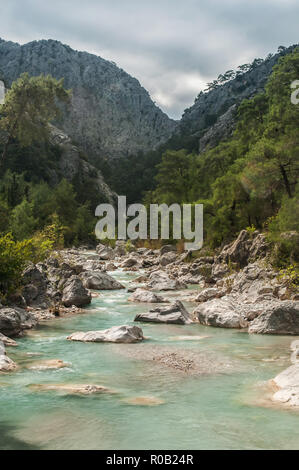mountain river in the reen dense forest, Turkey Stock Photo - Alamy