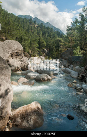 mountain river in the reen dense forest, Turkey Stock Photo - Alamy