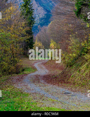 mule track in a mountain path that crosses the meadows Stock Photo - Alamy