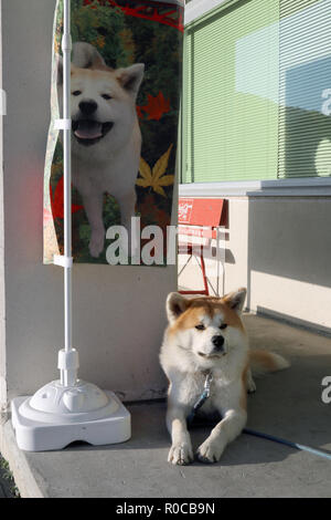 Akita Prefecture, Japan Stock Photo - Alamy