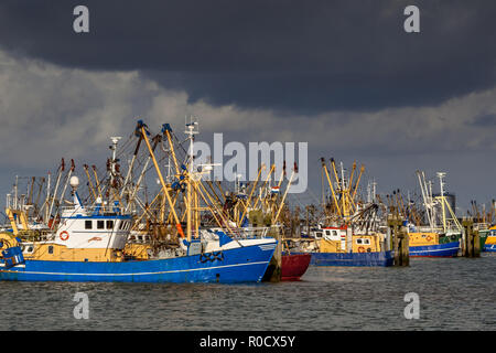 Lauwersoog hosts one of the largest fishing fleets in the Netherlands ...