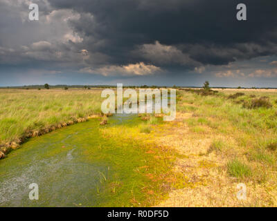 brooding summer sky above dutch agricultural landscape Stock Photo - Alamy