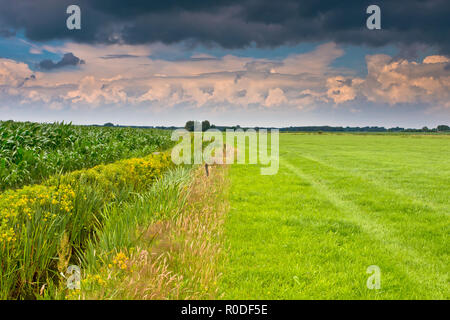 brooding summer sky above dutch agricultural landscape Stock Photo - Alamy