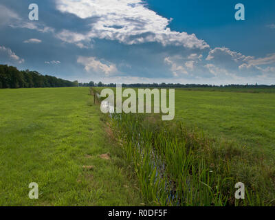 dramatic sky above dutch agricultural landscape Stock Photo - Alamy