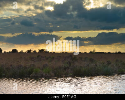 brooding summer sky above dutch agricultural landscape Stock Photo - Alamy