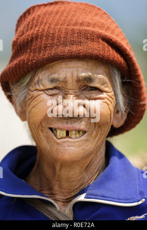Asian female farmer posing in cowshed at the cow farm Stock Photo - Alamy