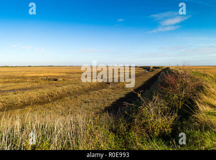 RSPB Freiston Shore nature reserve, The Wash, Lincolnshire, England ...