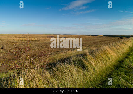 RSPB Freiston Shore nature reserve, The Wash, Lincolnshire, England ...