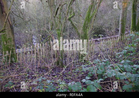 Oxendon Tunnel disused railway tunnel. The Macmillan Way. The Brampton ...