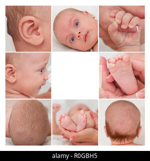 Photographic collage of newborn baby body parts Stock Photo - Alamy