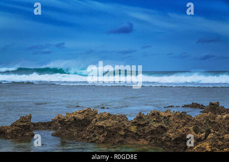 Siargao Island Pacific Ocean Marine and Underwater Life Stock Photo - Alamy