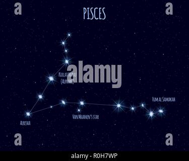 Pisces the fish zodiac constellation map on a starry space background ...