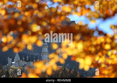 05 November 2018, Bavaria, Schwangau: Neuschwanstein Castle stands ...